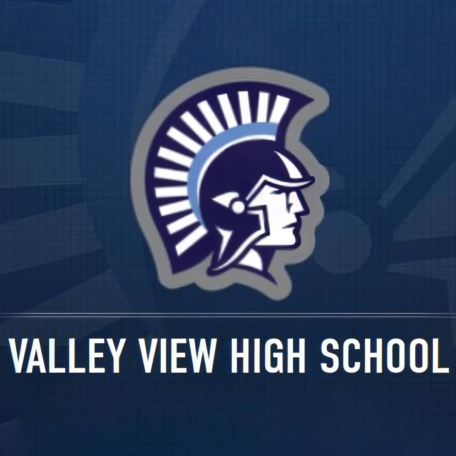 Valley View Athletic Booster Scholarship